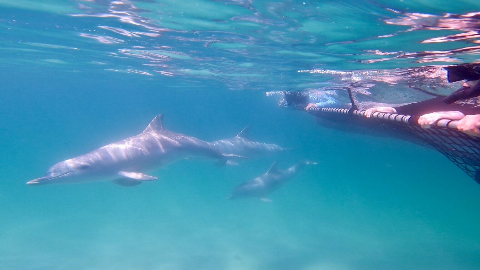 Sunset Charters – Sunset Charters